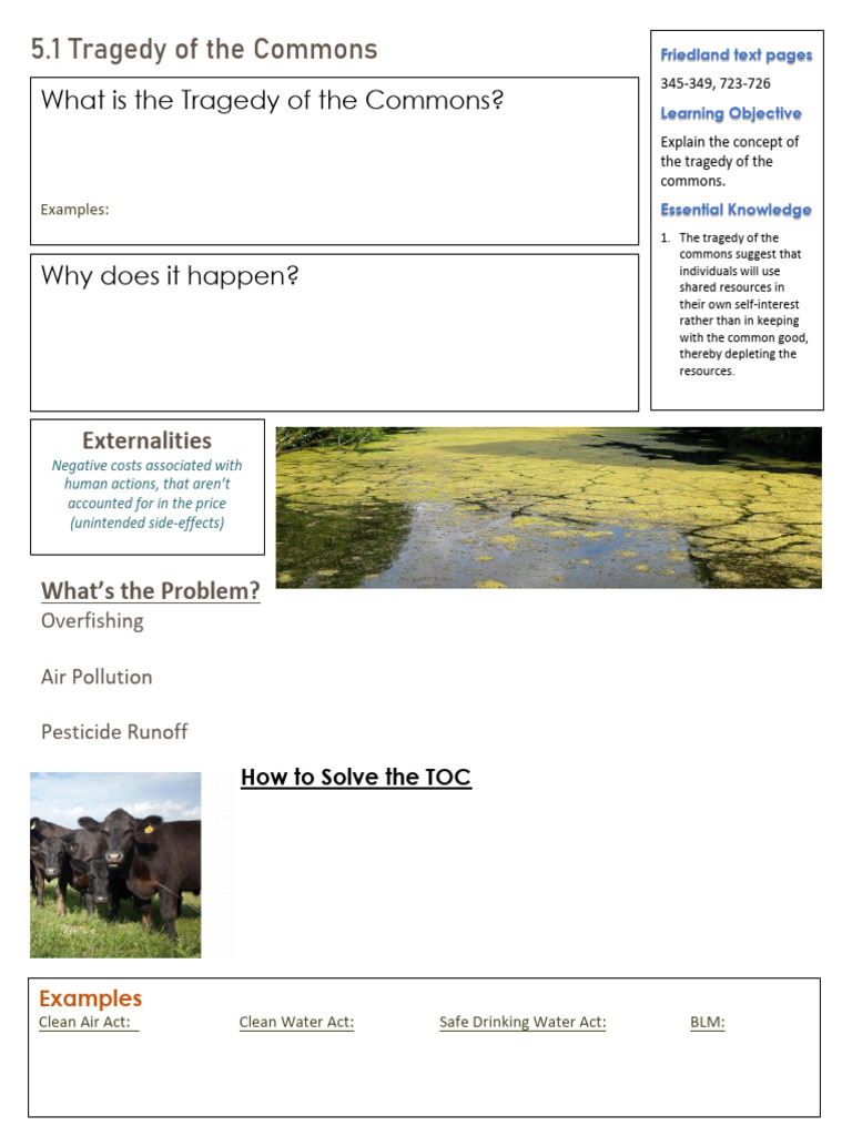 Understanding the Tragedy of the Commons | PDF | Agriculture | Irrigation