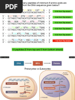 Human Genome Project Class 12 | PDF | Human Genome | Genome