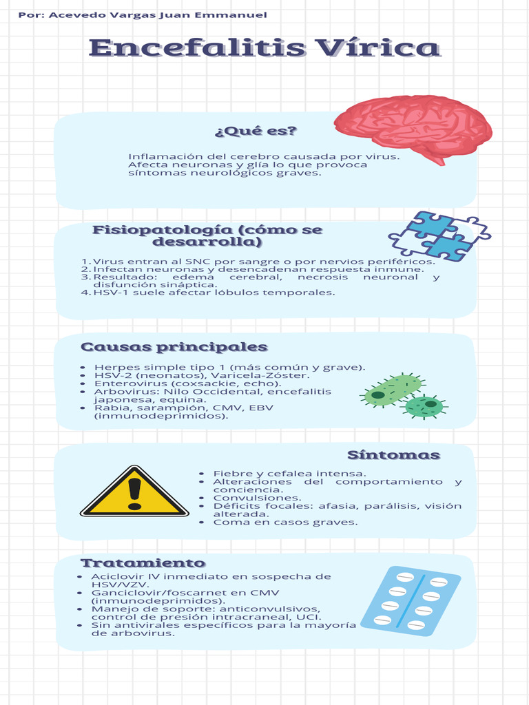Encefalitis Vírica: Causas y Tratamiento | PDF | Virus | Virología