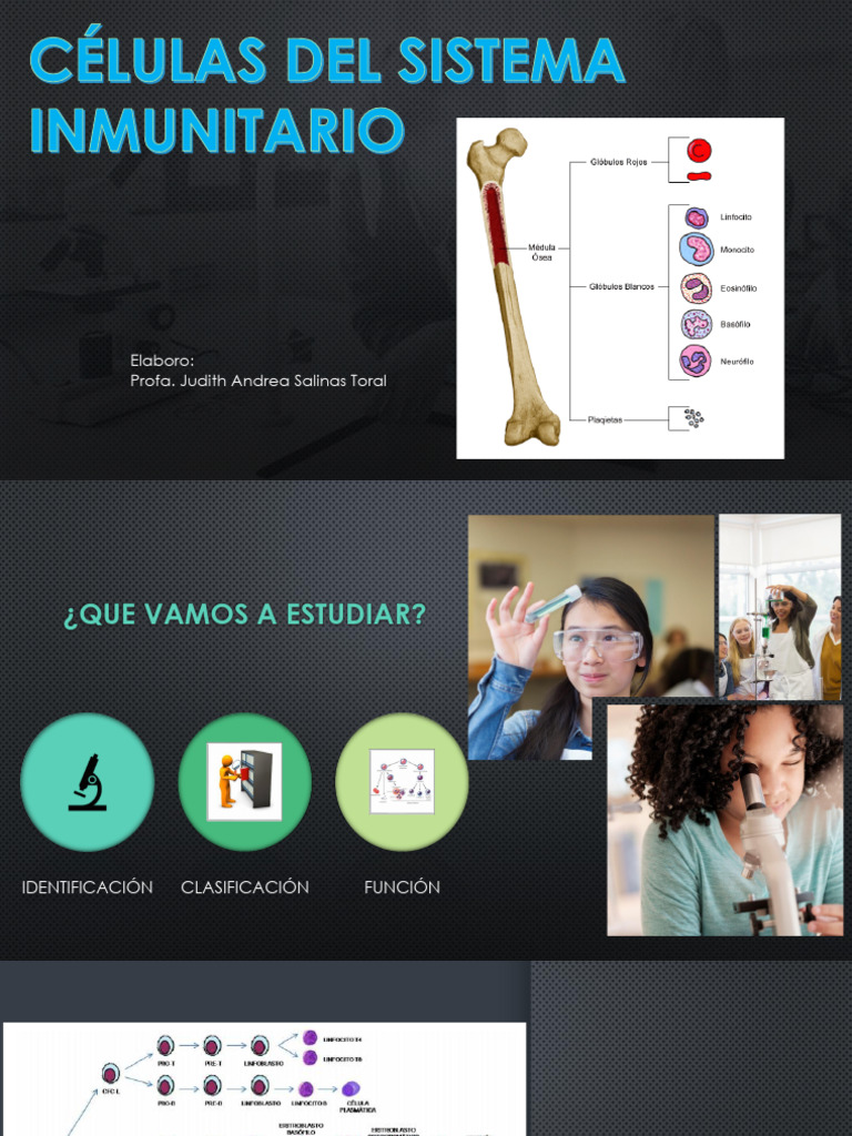 Células Del Sistema Inmunitario. | PDF | Hematopoyesis | Sangre
