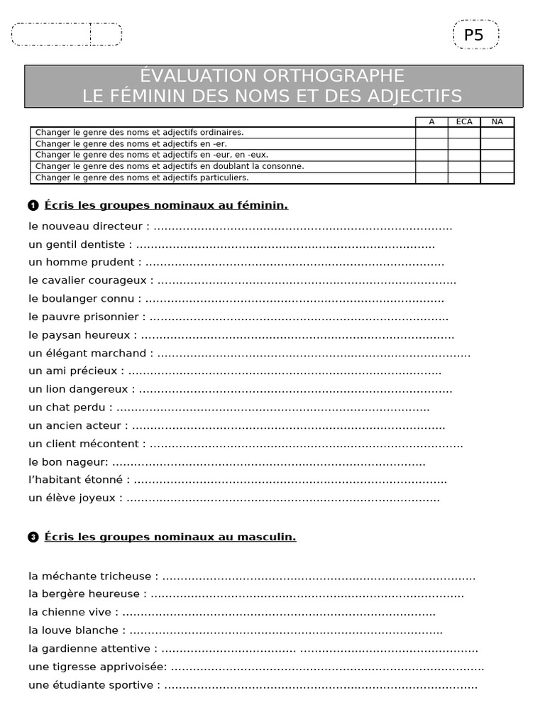 EVALUATION Le Féminin Des Noms | PDF