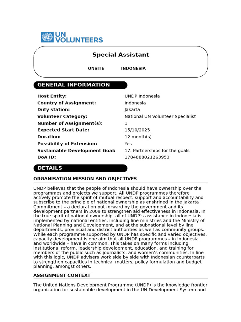UNV Special Assistant UNDP | PDF | United Nations Development Programme