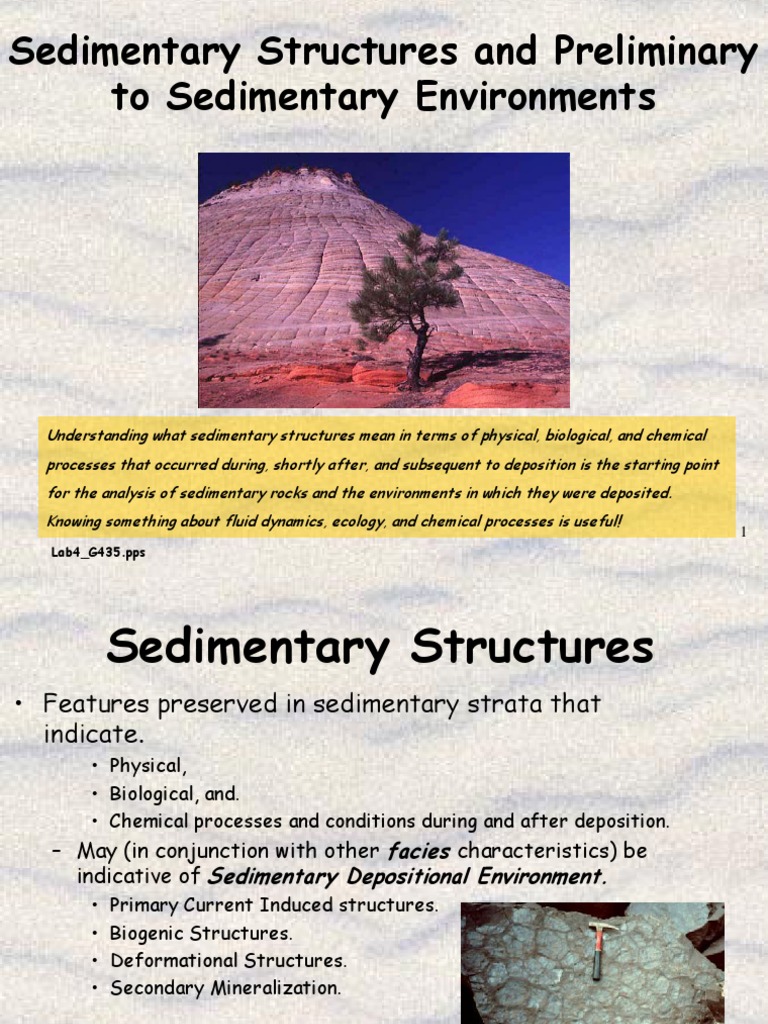 Sedimentary Structures and Preliminary To Sedimentary Environments ...