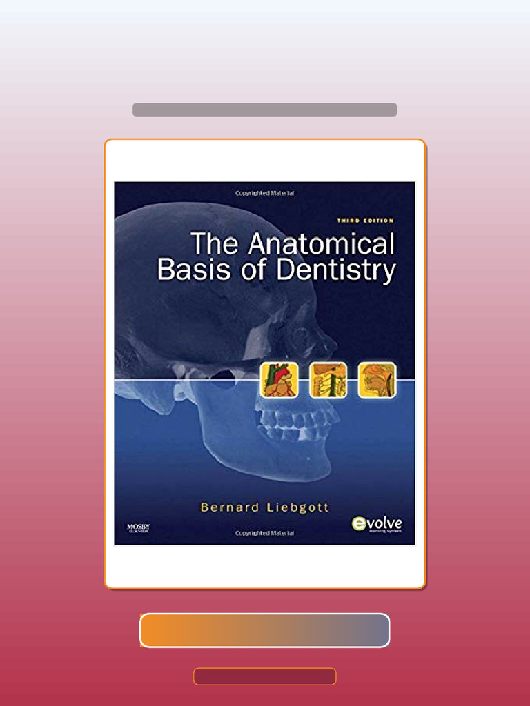Authorized The Anatomical Basis of Dentistry 3rd Edition by Bernard ...