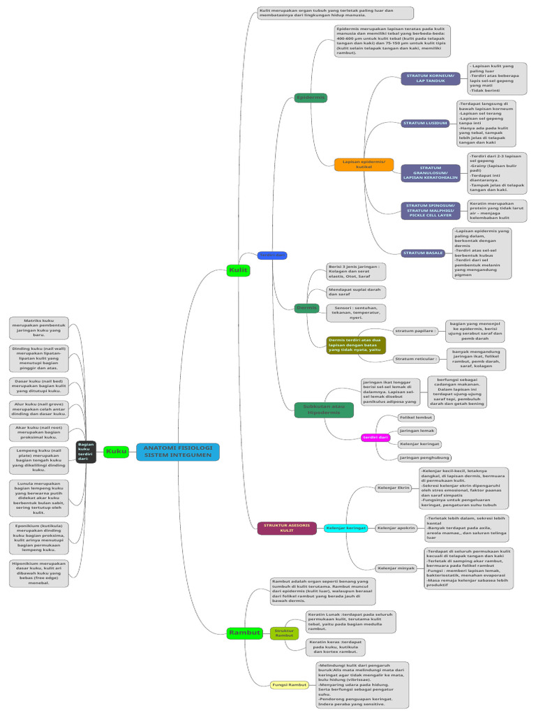 Mid Mapping Sistem Integumen Rohman | PDF