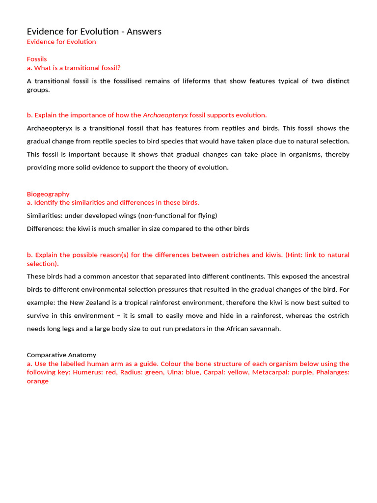 Evidence For Evolution Worksheet - ANSWERS | PDF | Evolution | Birds