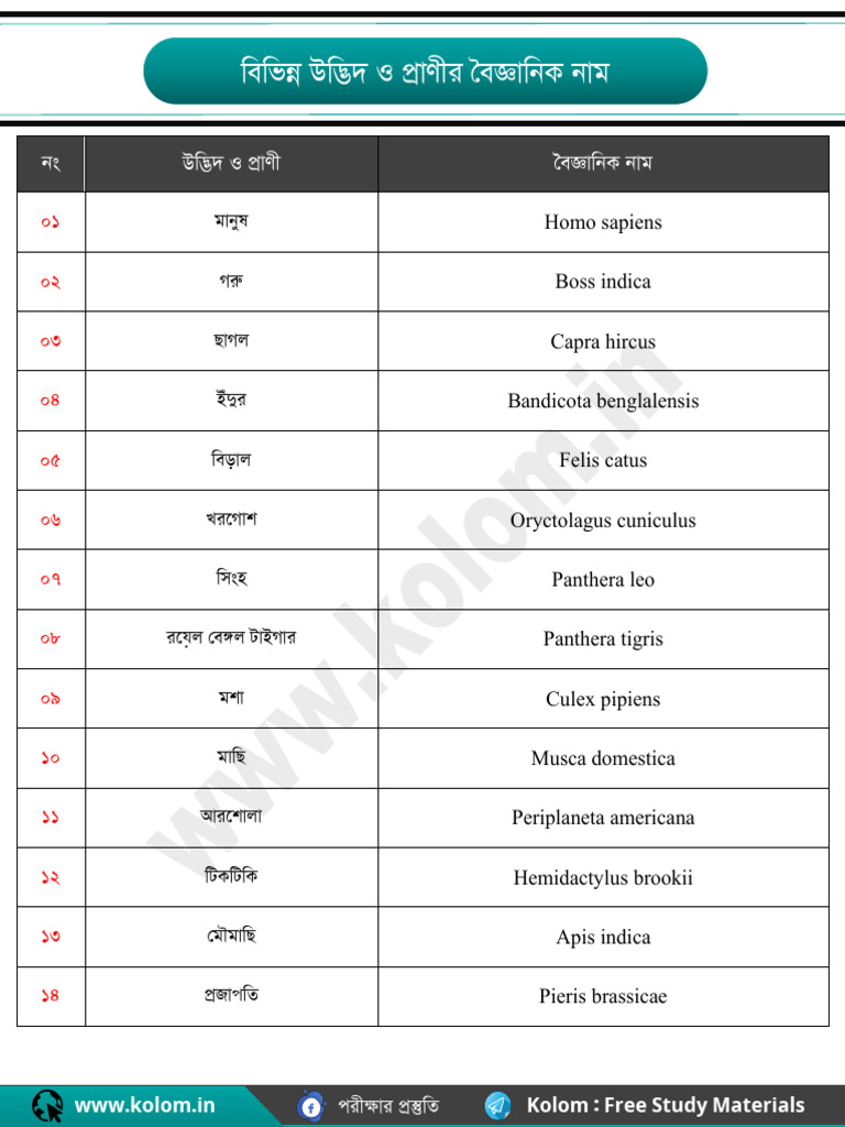 Scientific Names of Plants and Animals | PDF