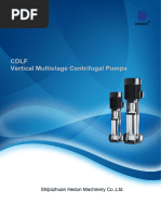 CDL/CDLF Vertical Multistage Pumps Guide | PDF | Pump | Valve