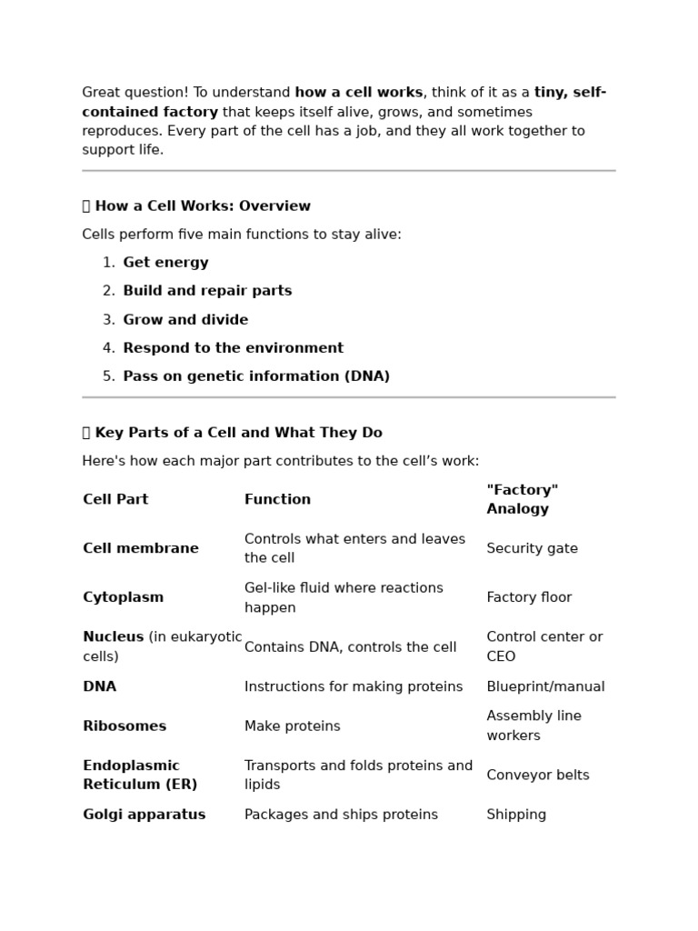 How Cells Absorb and Utilize Energy | PDF | Cell (Biology ...
