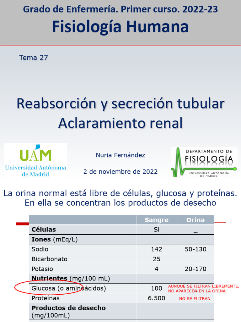 Reabsorción y Secreción Tubular Renal | PDF | Sodio | Riñón