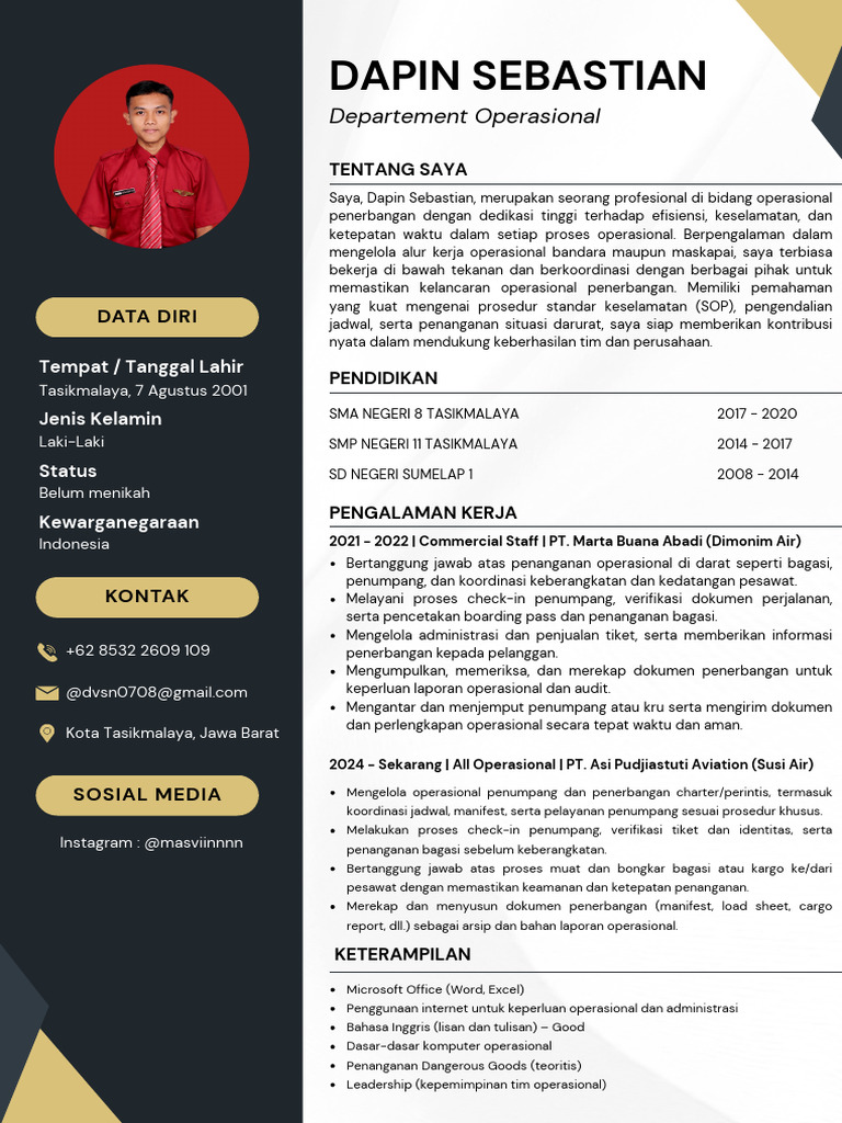 CV - DAPIN S New | PDF