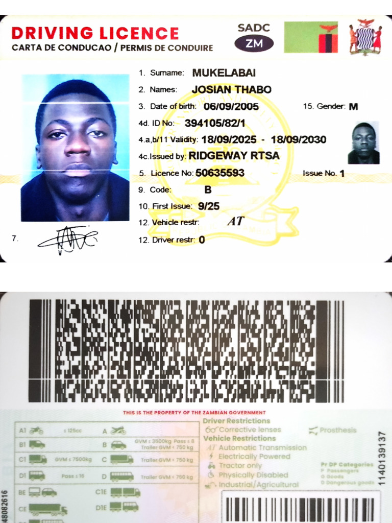 Driving License | PDF