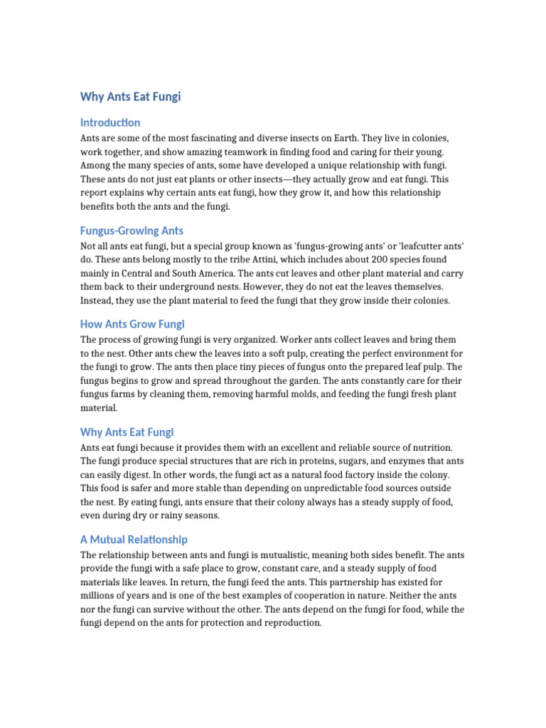 Why Ants Eat Fungi Report | PDF | Ant | Fungus