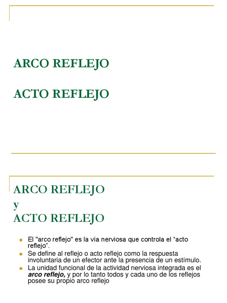 6-Arco-Acto Reflejo | PDF