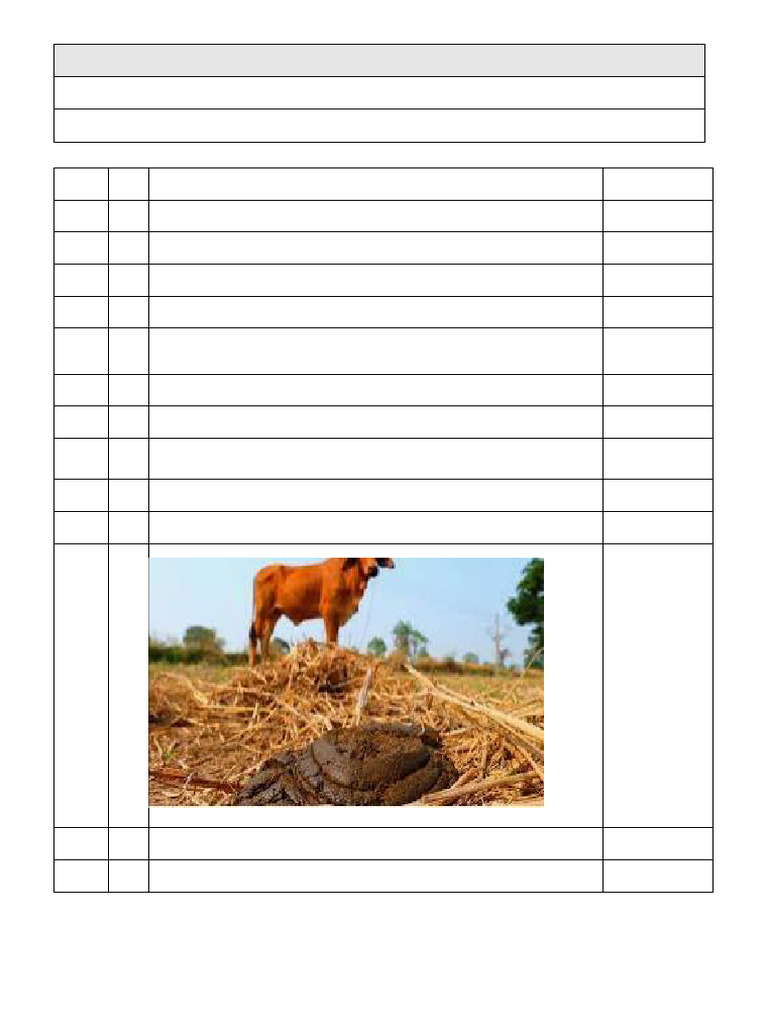 Grade 5 IDP Practice Sheet: Term 2 | PDF