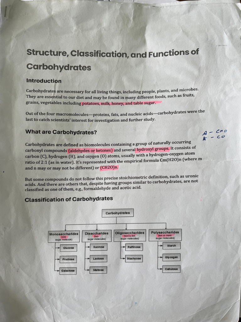Carbohydrates Notes (11.09.2025) | PDF