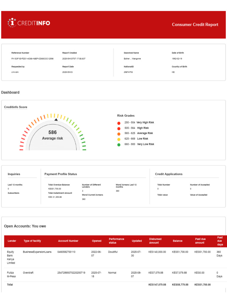 Consumer Credit Report Summary | PDF | Credit History | Credit Score
