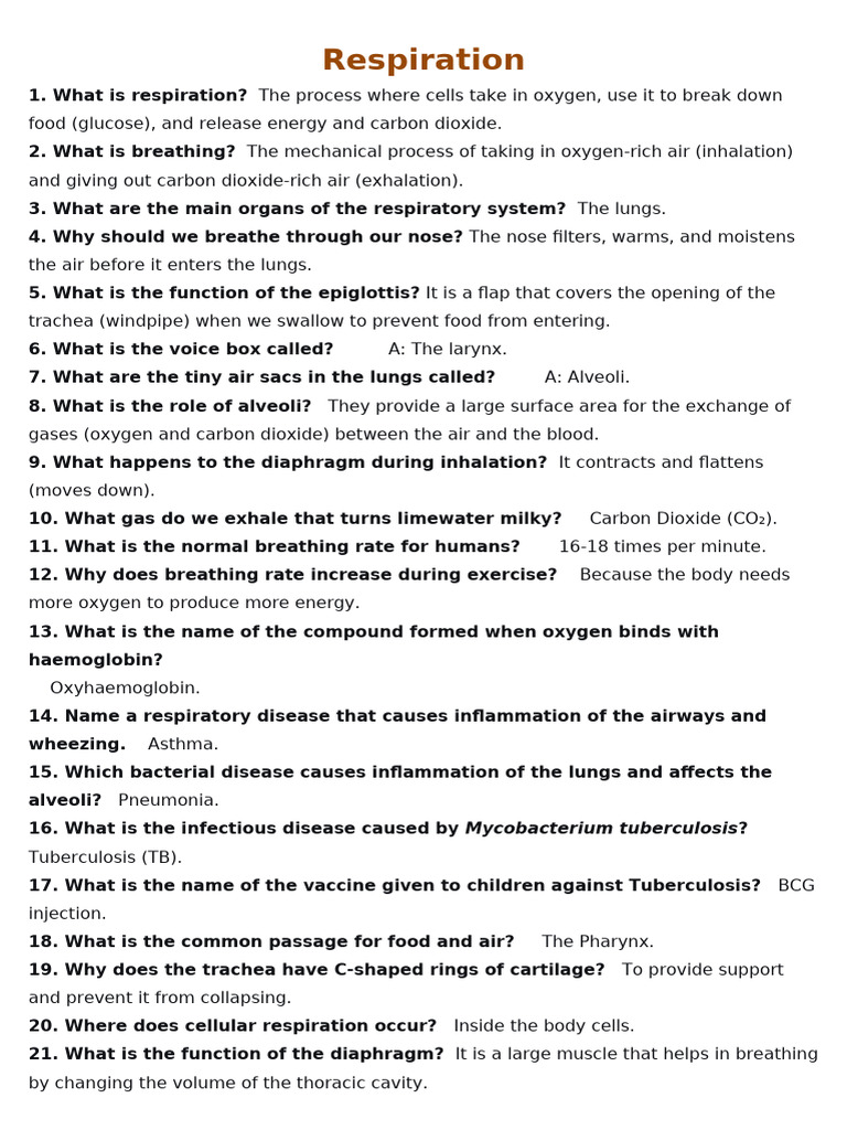 Respiration | PDF | Respiratory System | Breathing