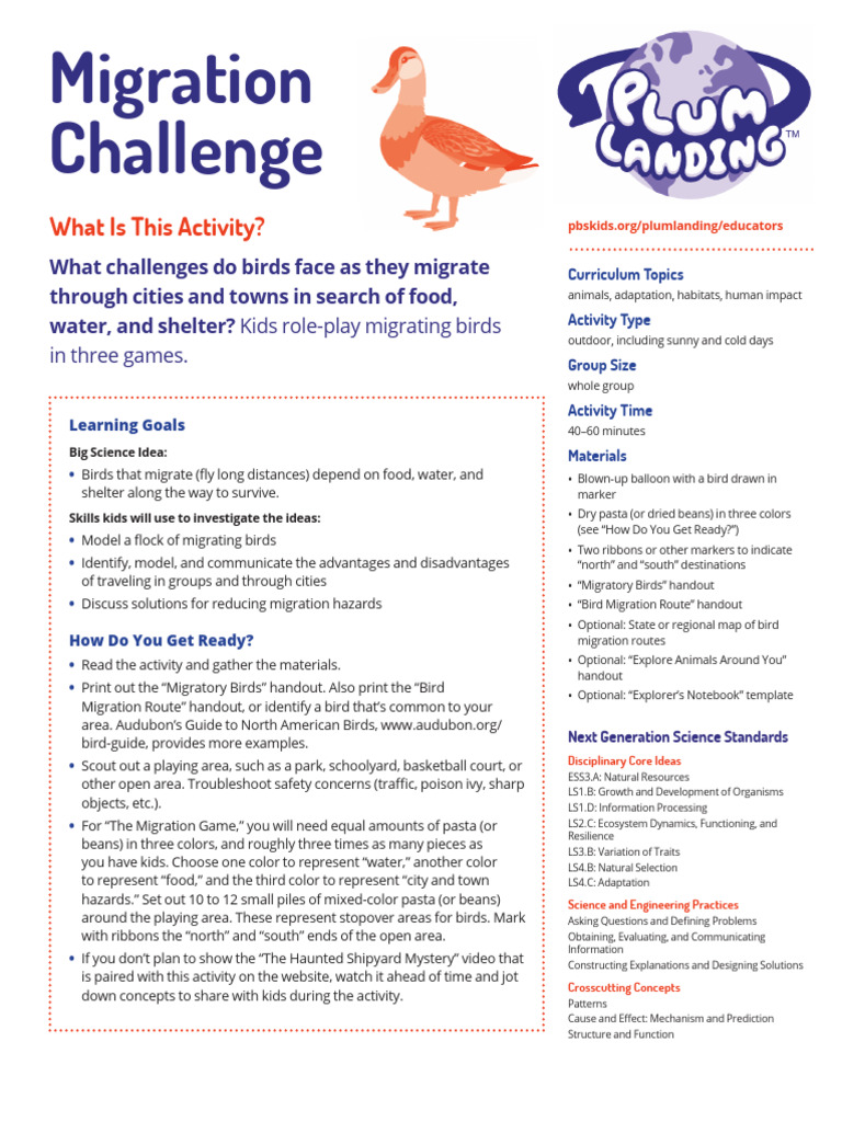 Flocking and Migration Challenges | PDF | Bird Migration | Birds