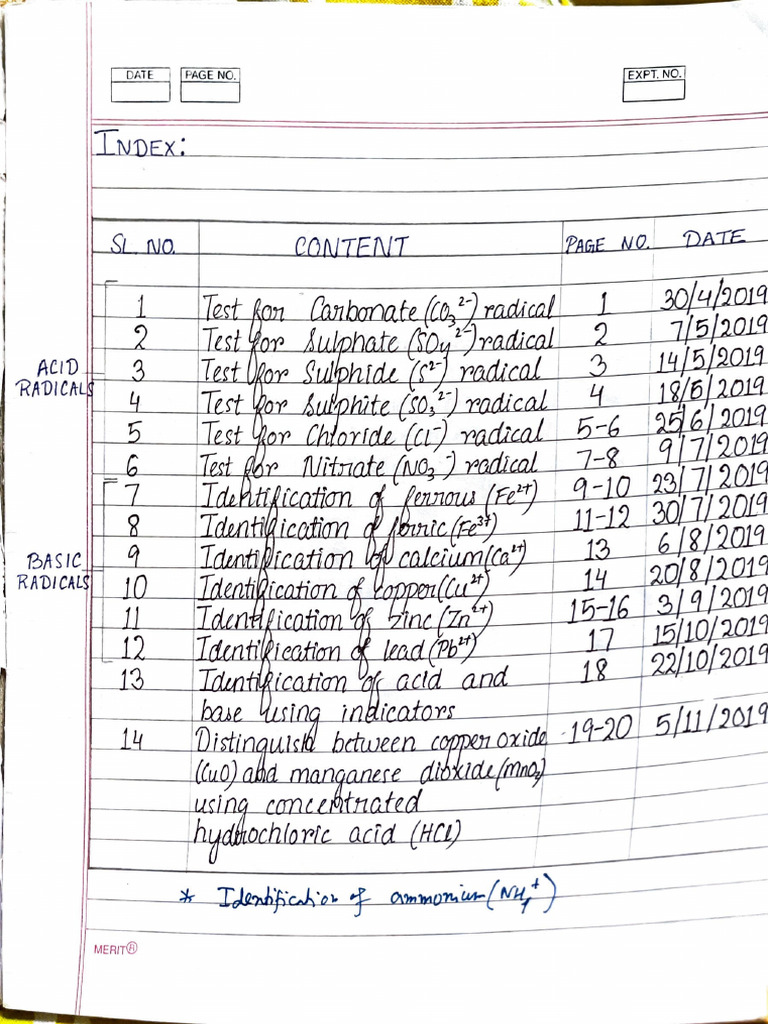 Chem Practical File Sample | PDF