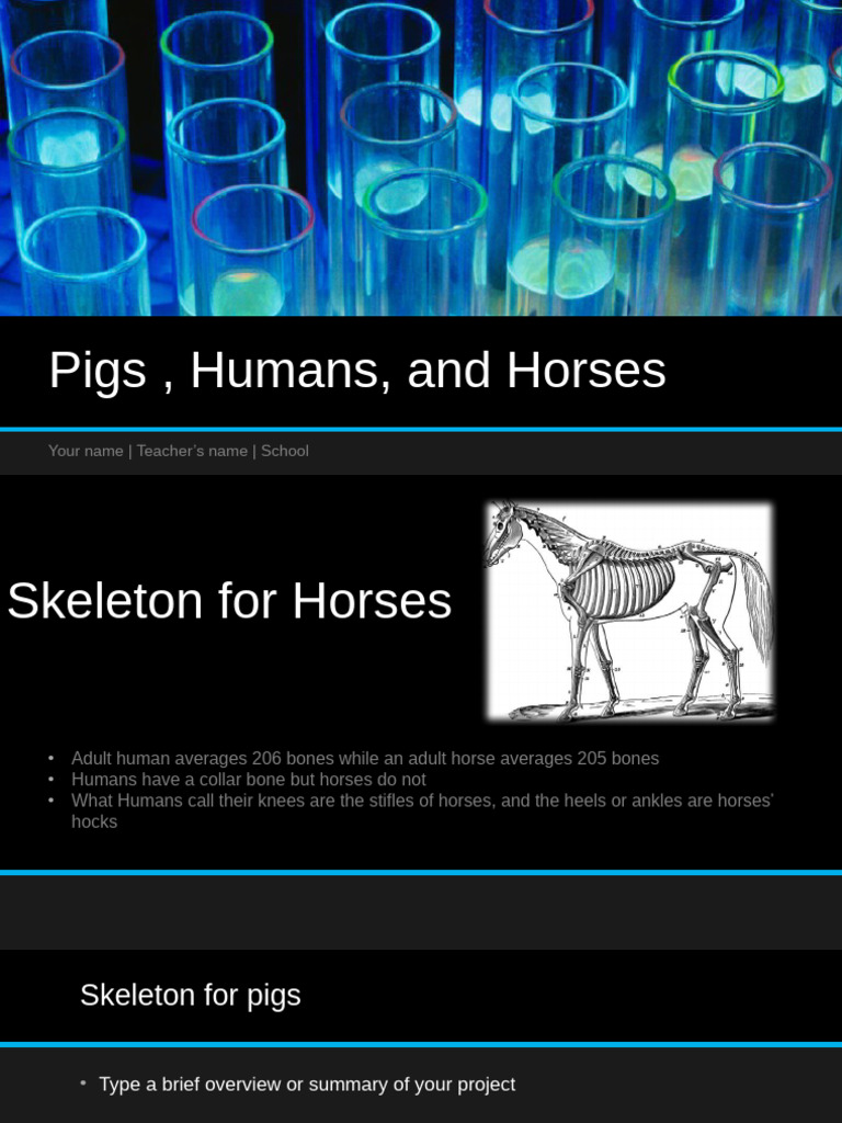 Pigs, Humans, and Horses | PDF | Experiment | Horses
