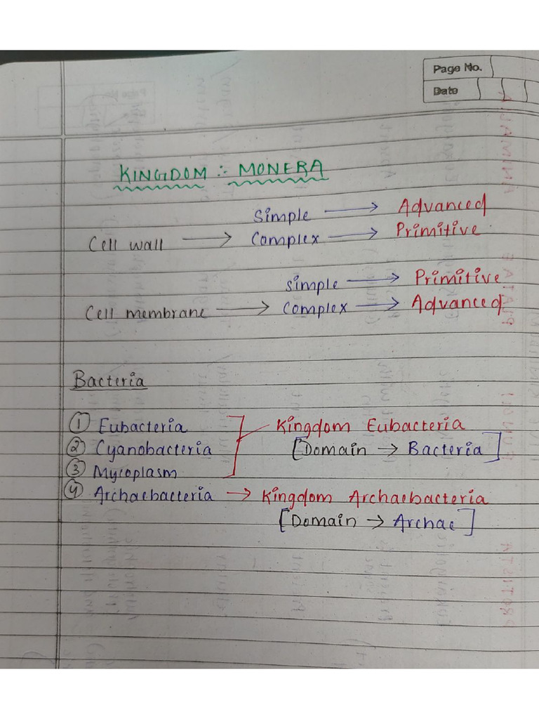 Biological Classification Bacteria | PDF