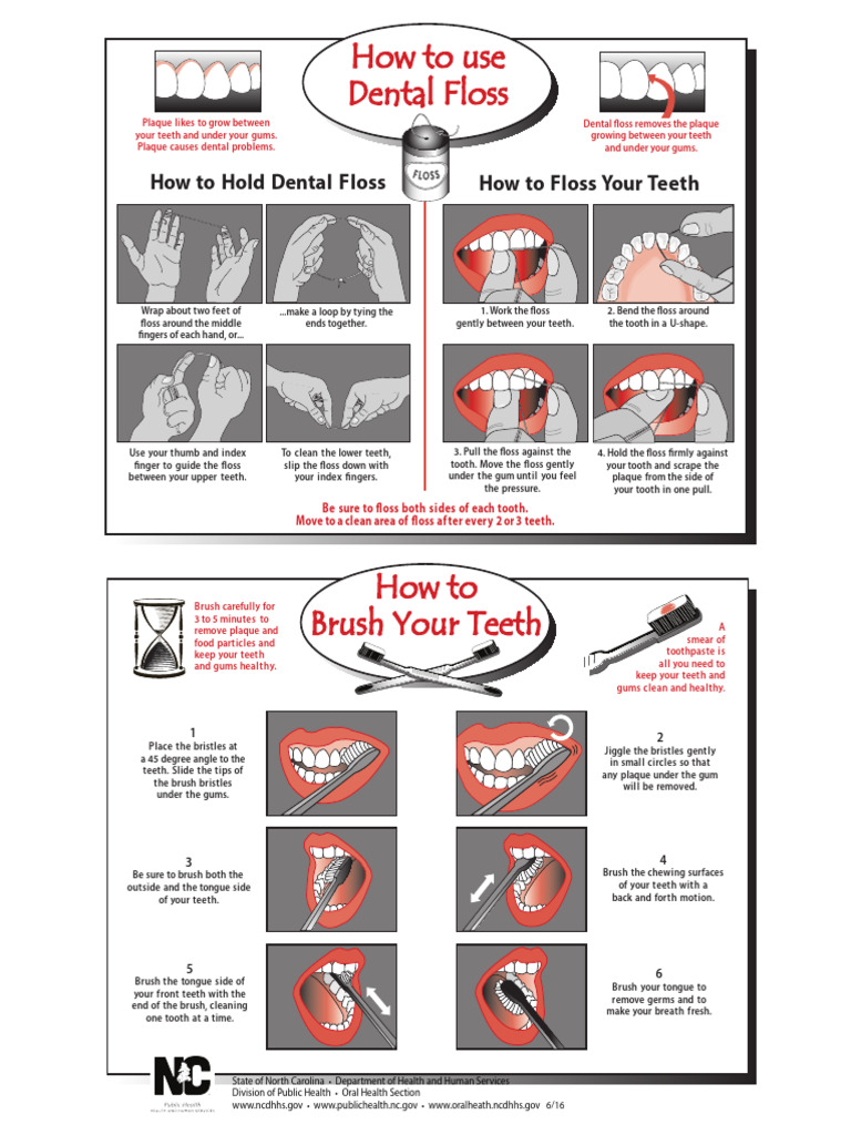 How To Floss and Brush Letter 2016 | PDF | Tooth | Dental Anatomy