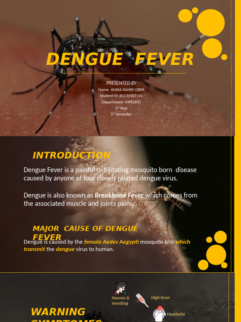 Presentation About Dengue | PDF