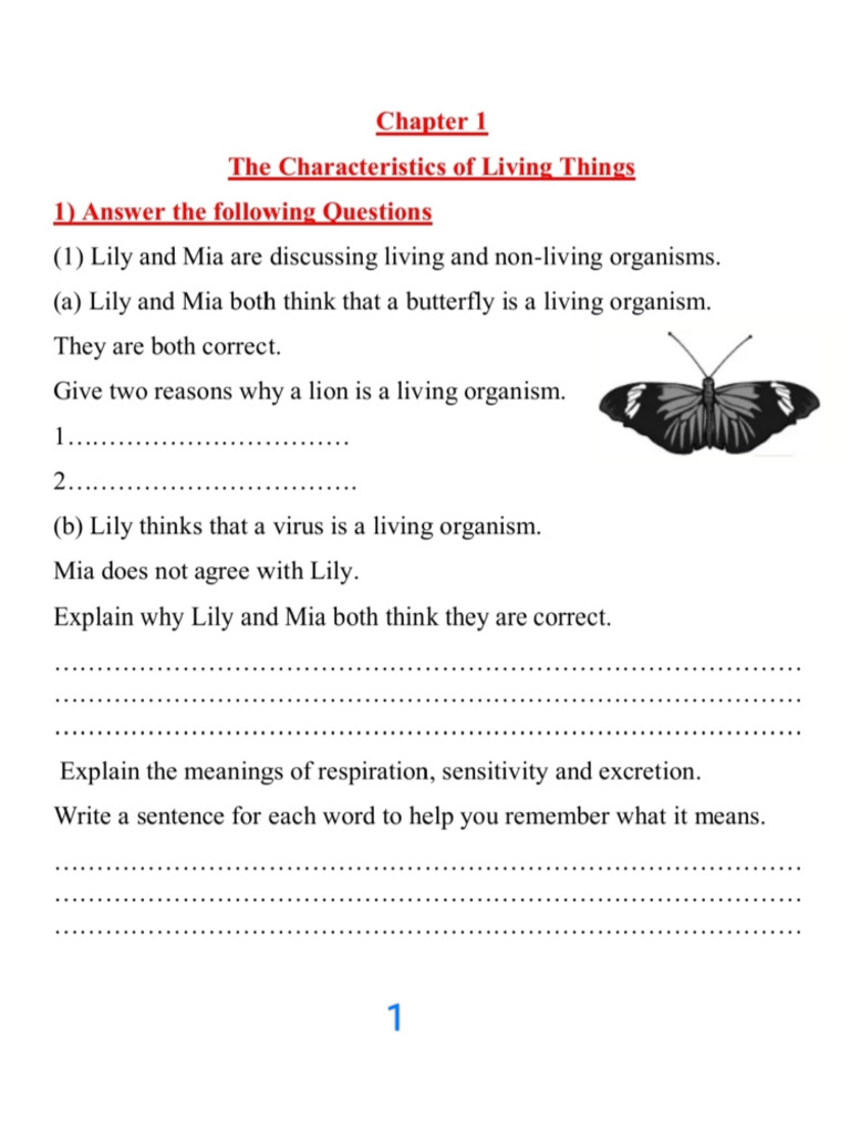Y7, Chapter 1 | PDF