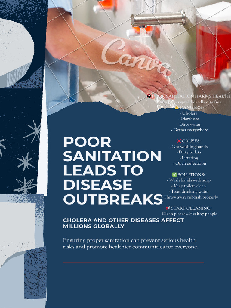 Poor Sanitation and Health Risks | PDF