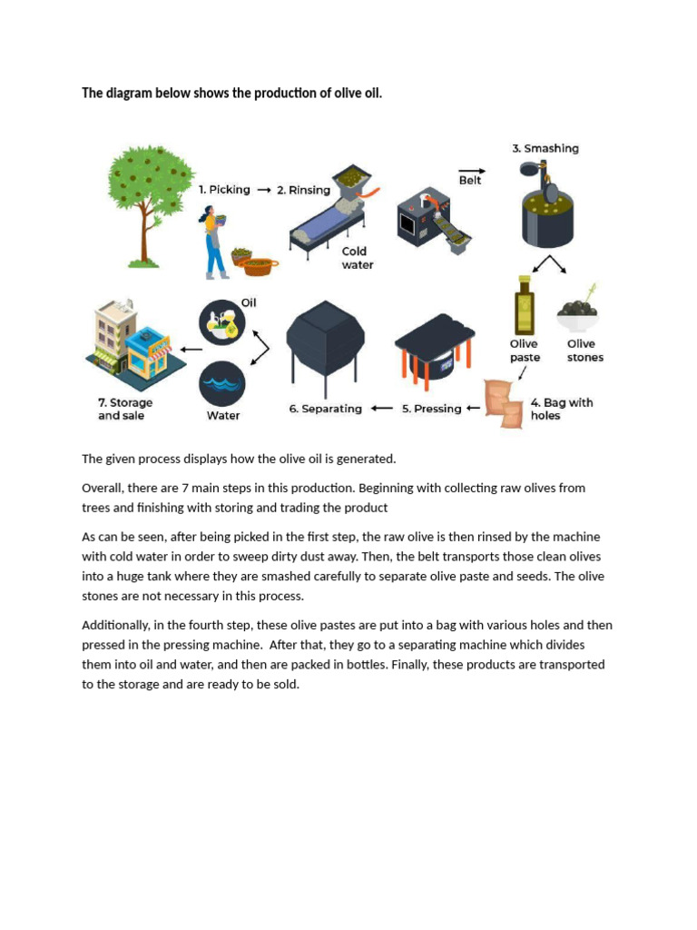 Process Man Made | PDF