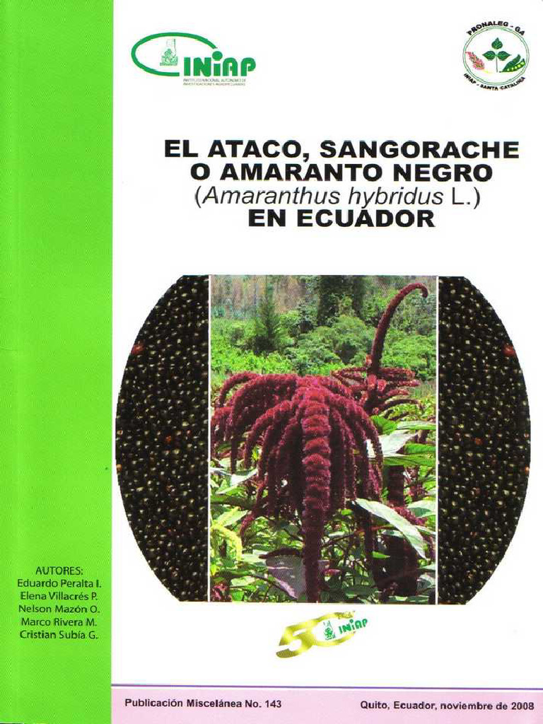 El Ataco o Sangorache | PDF