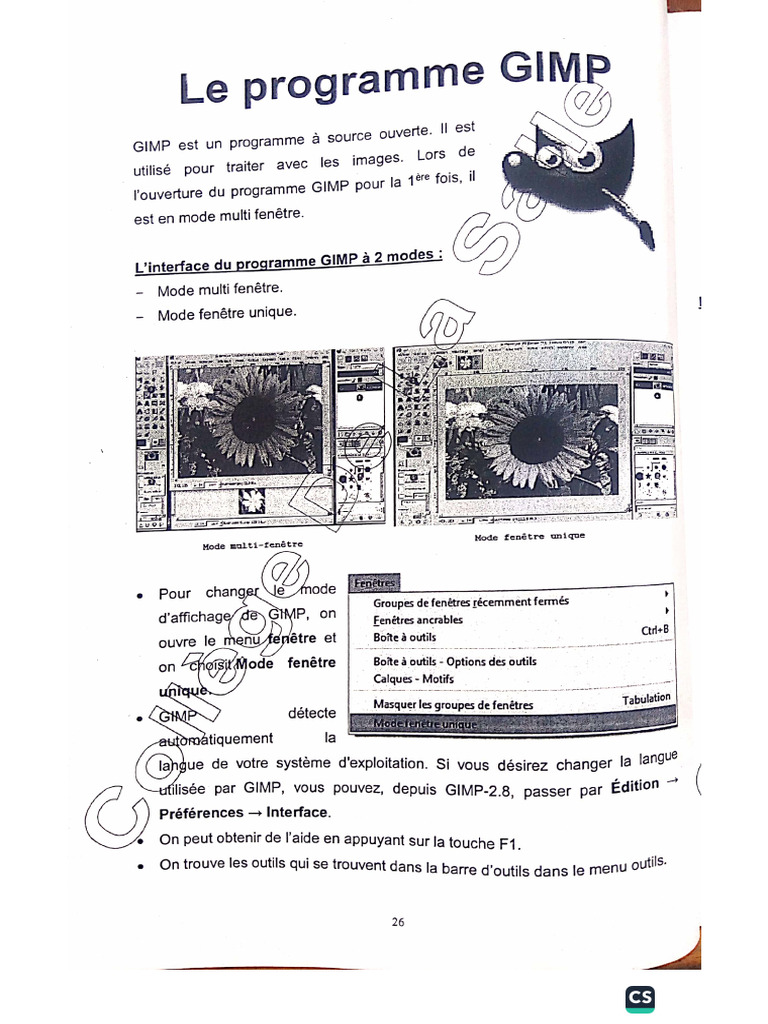 Gimp | PDF
