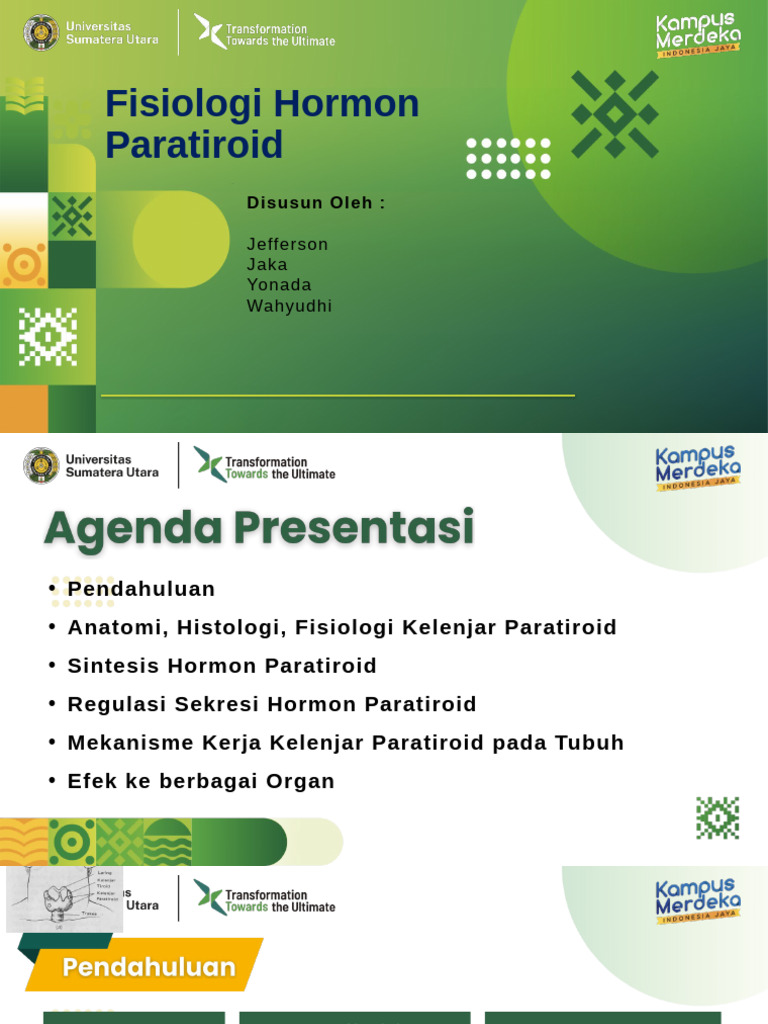 Fisiologi Hormon Paratiroid | PDF