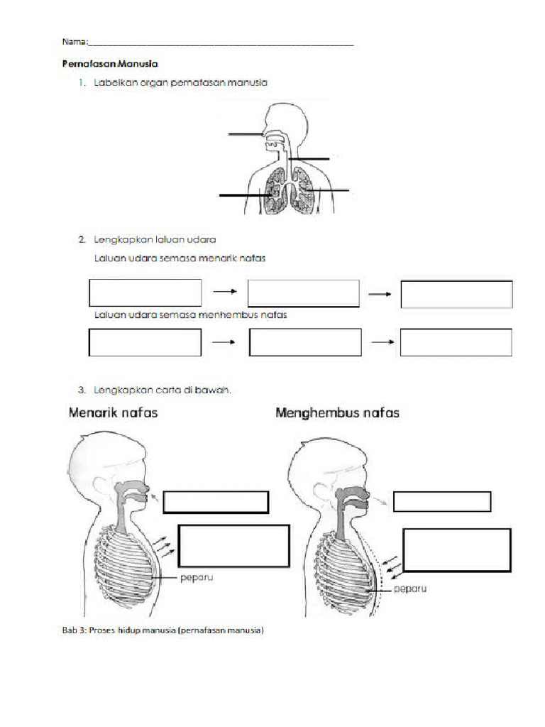 Sains Tahun 4 | PDF