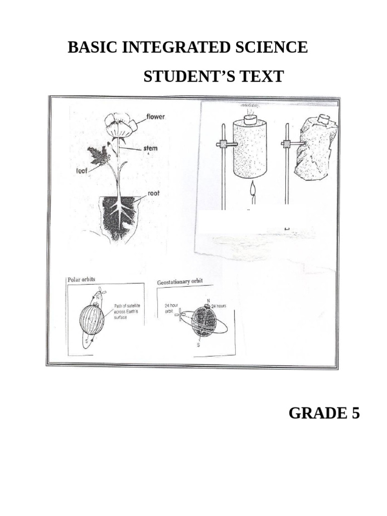 Grade 5 Integrated Science Curriculum Guide | PDF | Breathing ...