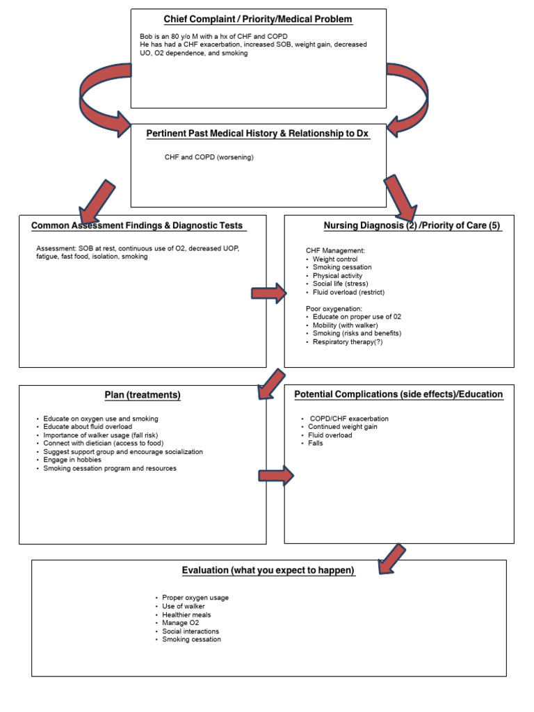 CHF and COPD Management Plan | PDF
