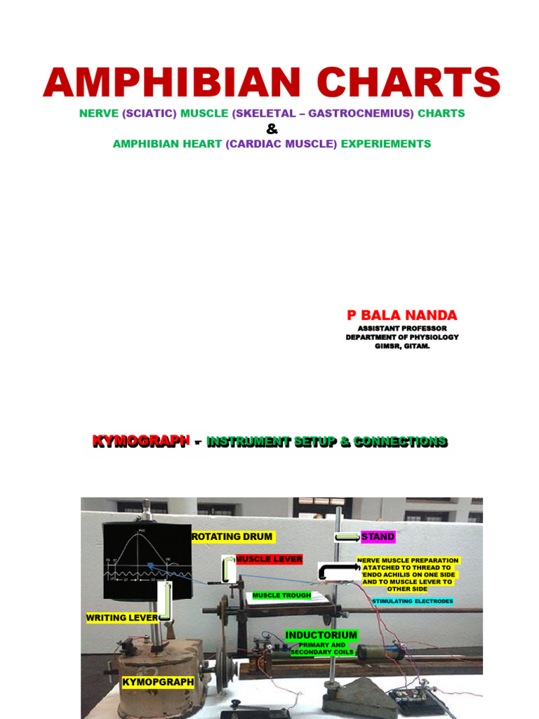 Physiology- Amphibian Graphs | PDF