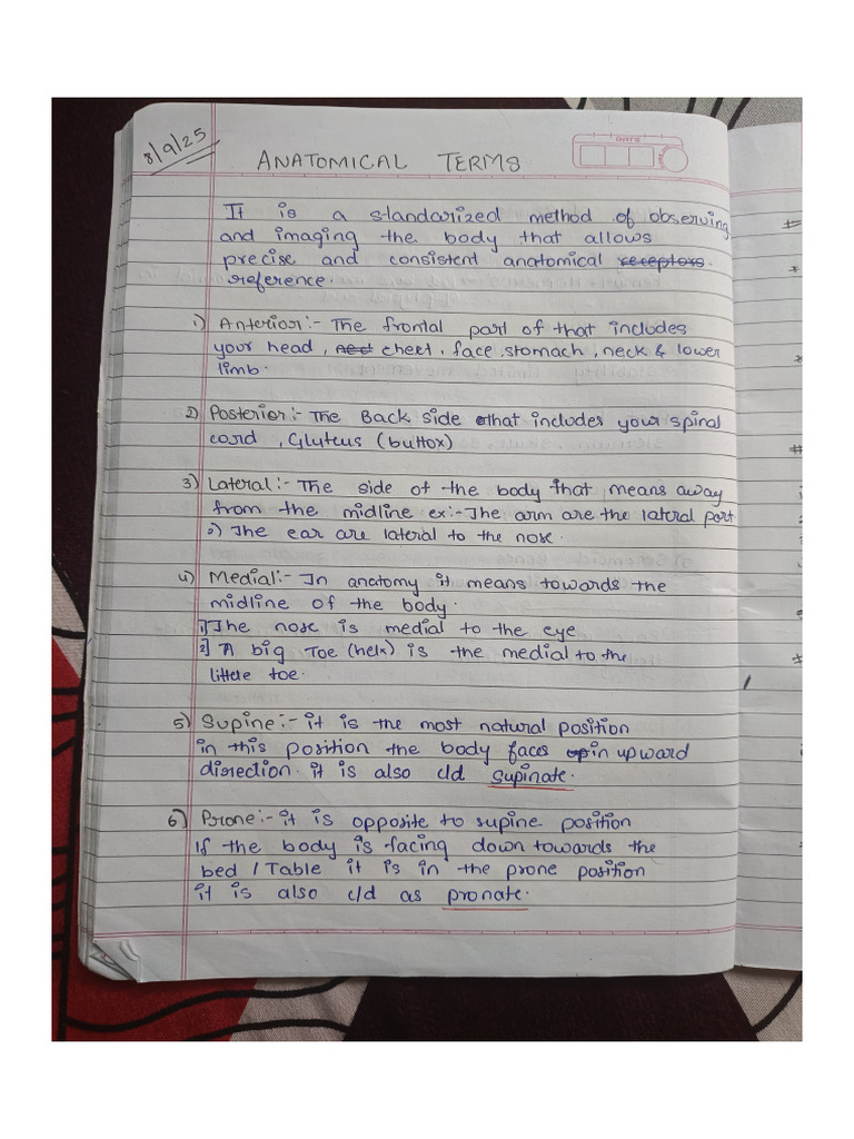 Anatomical Terms | PDF