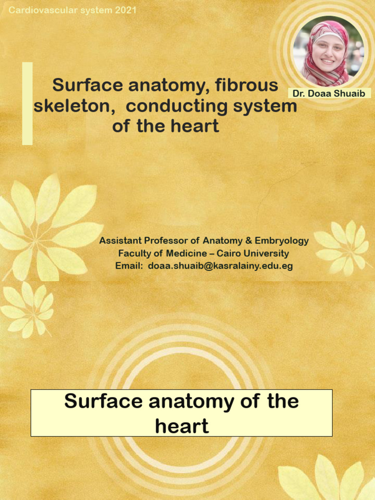 3 Surface Anatomy, Fibrous Skeleton, Conducting System of The Heart ...