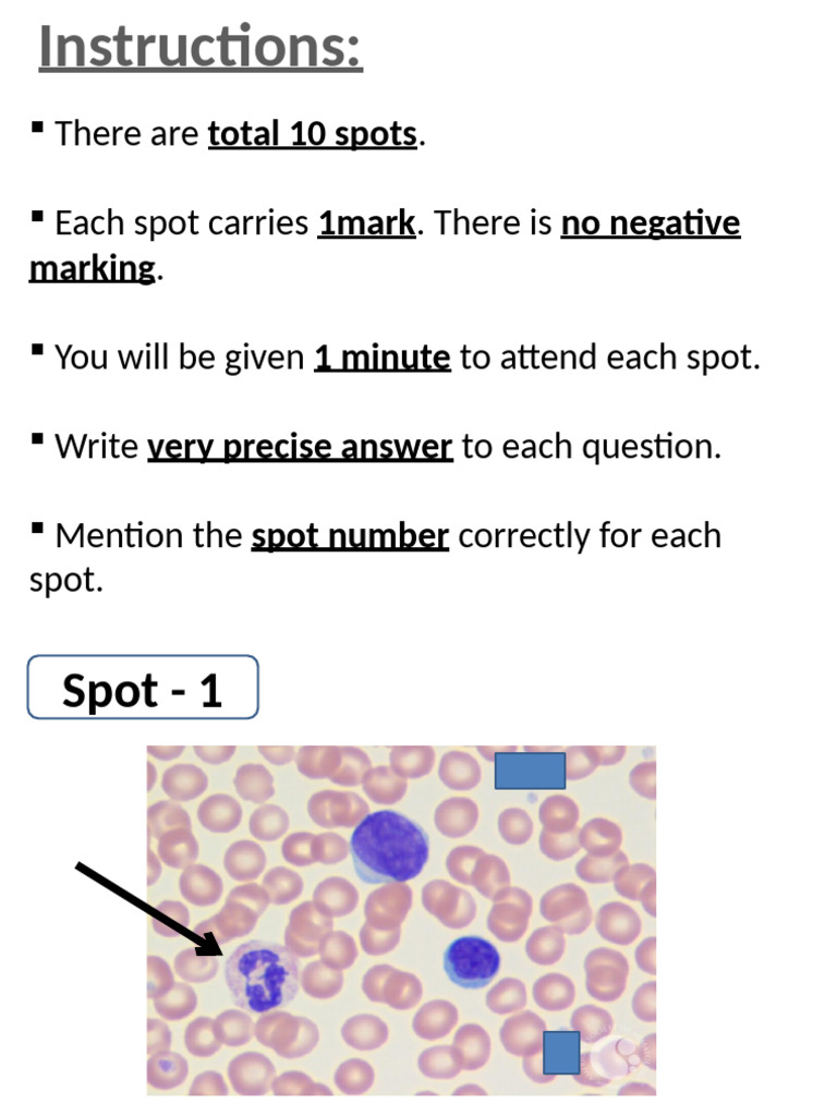 Spotting Set 1 | PDF