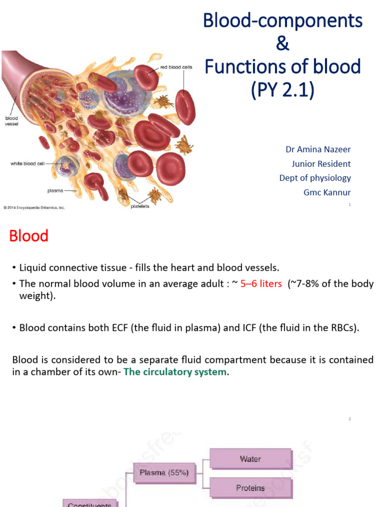 Blood Components and Functions Explained | PDF | Blood Cell | Blood