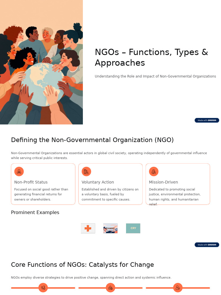 Understanding NGOs: Functions & Impact | PDF | Non Governmental ...