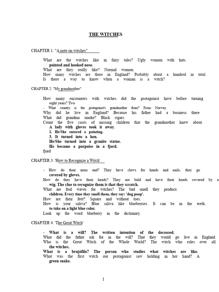 The Witches: Chapter Summaries | PDF