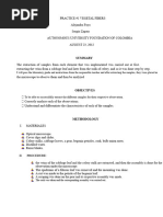 Celery Xylem and Phloem Microscope Study | PDF | Plant Stem | Tissue ...