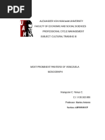 Carlos Morel: Pioneer of Argentine Art | PDF | History