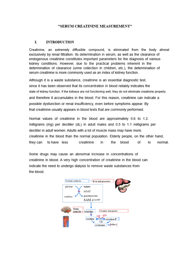 Serum Creatinine Measurement Guide | PDF | Creatinine | Kidney