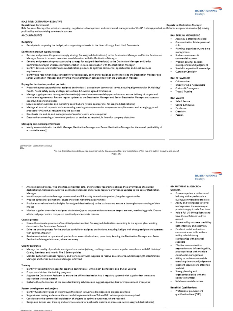 Destination Executive Role Overview 2024 | PDF | Supply Chain | Business