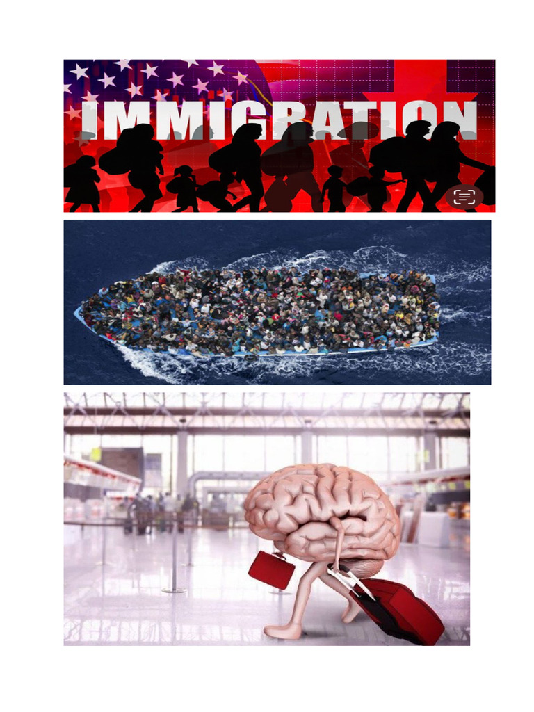 Image Immigration | PDF