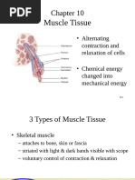 Steps of the Cross Bridge Cycle | PDF | Muscle Contraction ...